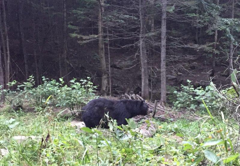 ours-canada - Canada way
